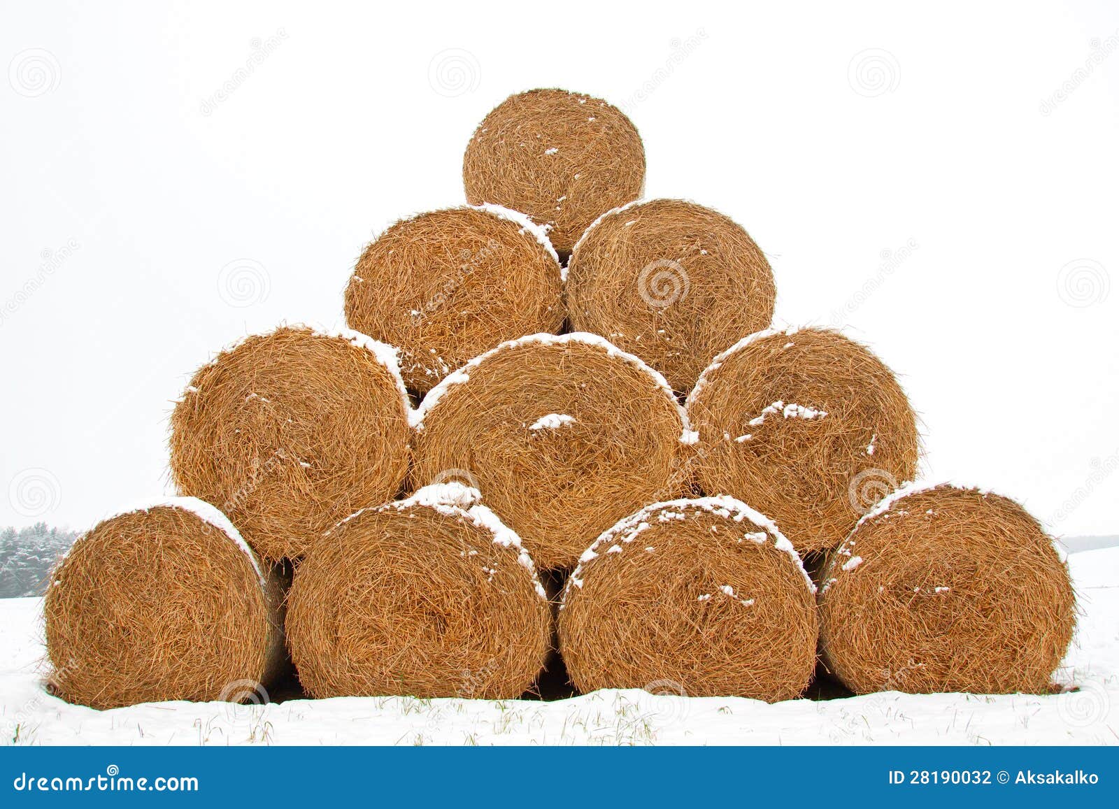 Straw Fodder Bales in Winter Stock Photo - Image of bales, food: 28190032
