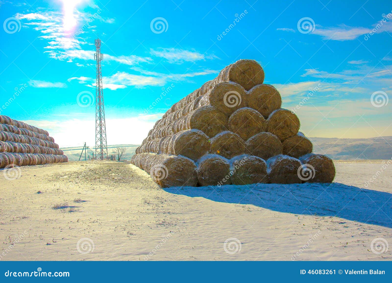 Straw Fodder Bales in Winter Stock Image - Image of bright, roll: 46083261