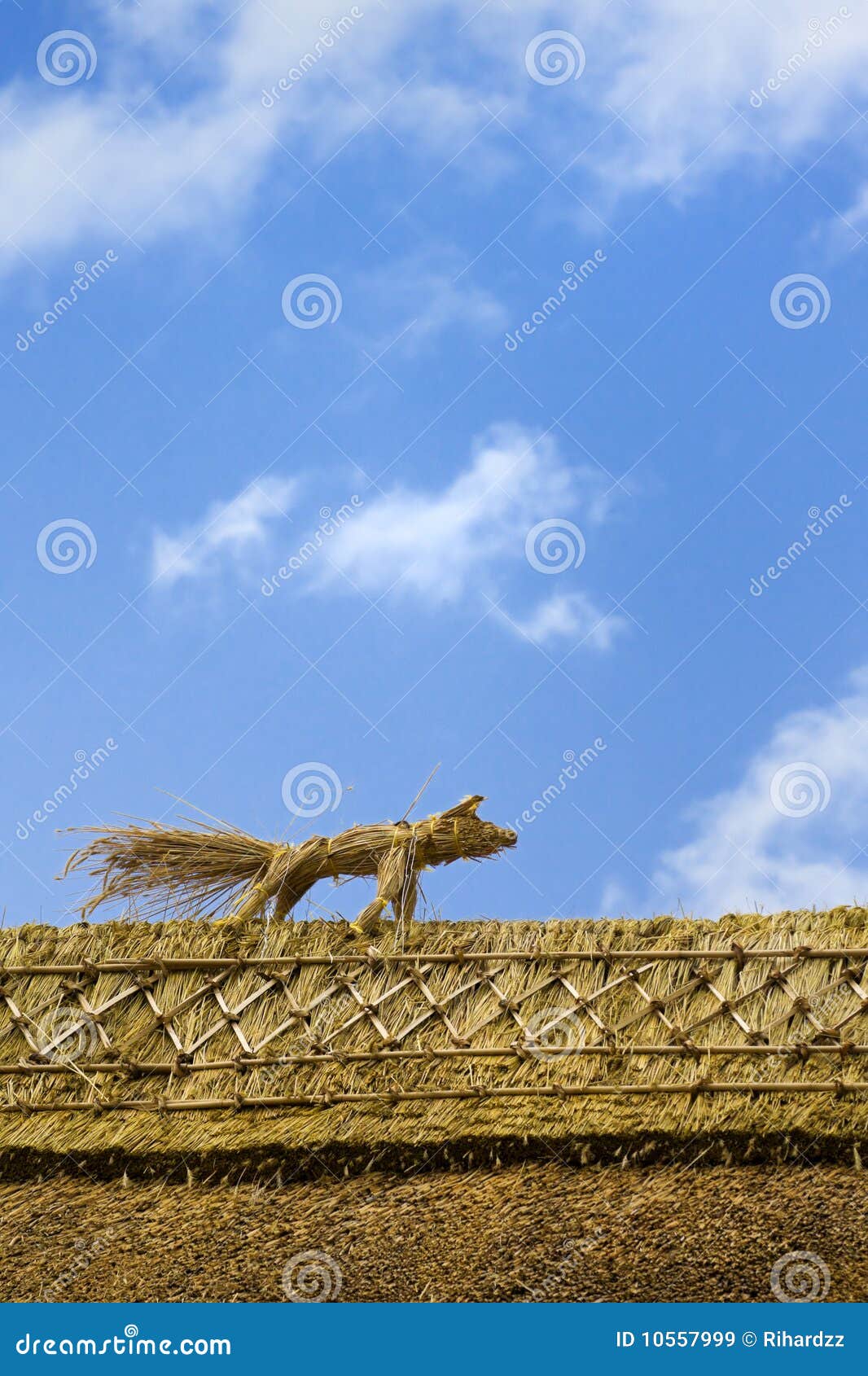 Straw fox on the roof stock image. Image of village, yellow - 10557999