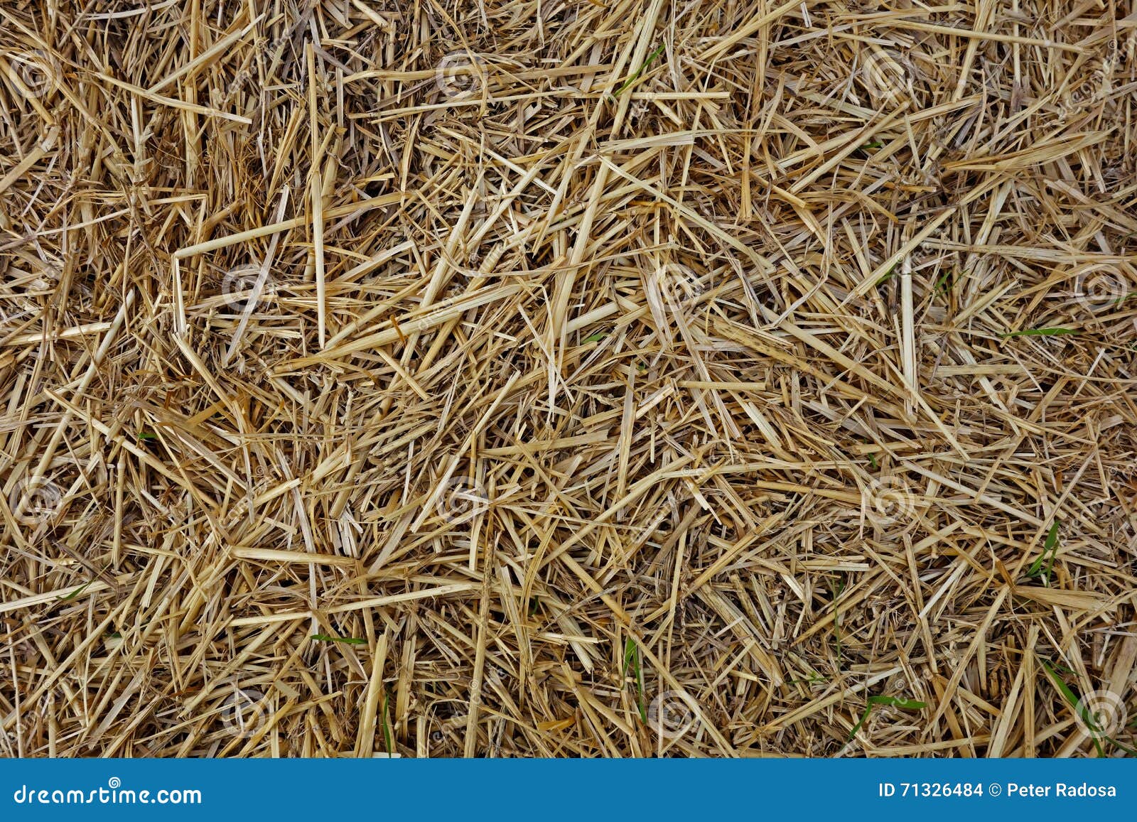 810 Straw Texture Free Stock Photos - Free & Royalty-Free Stock Photos ...