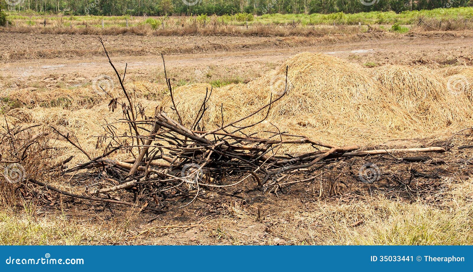 Straw on ground stock image. Image of harvest, nature - 35033441