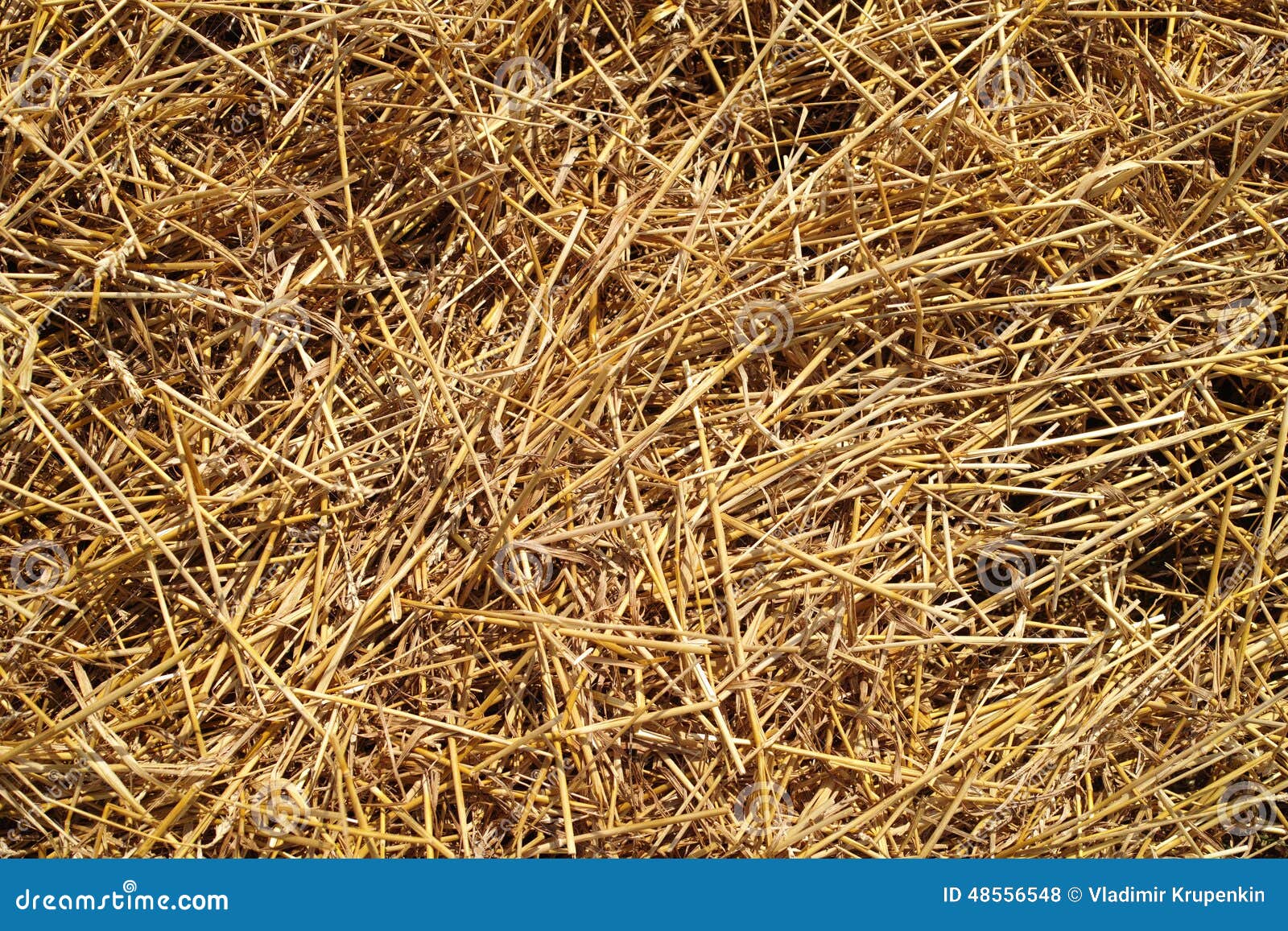 Straw on the ground stock photo. Image of crossroads - 48556548