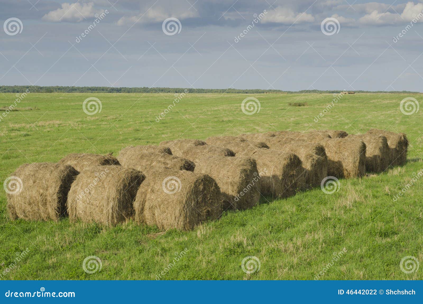Straw Harvest stock photo. Image of environment, countryside - 46442022