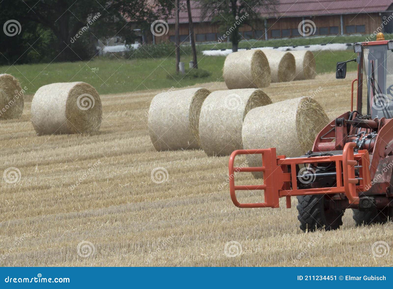 Straw harvest on the field stock image. Image of arable - 211234451
