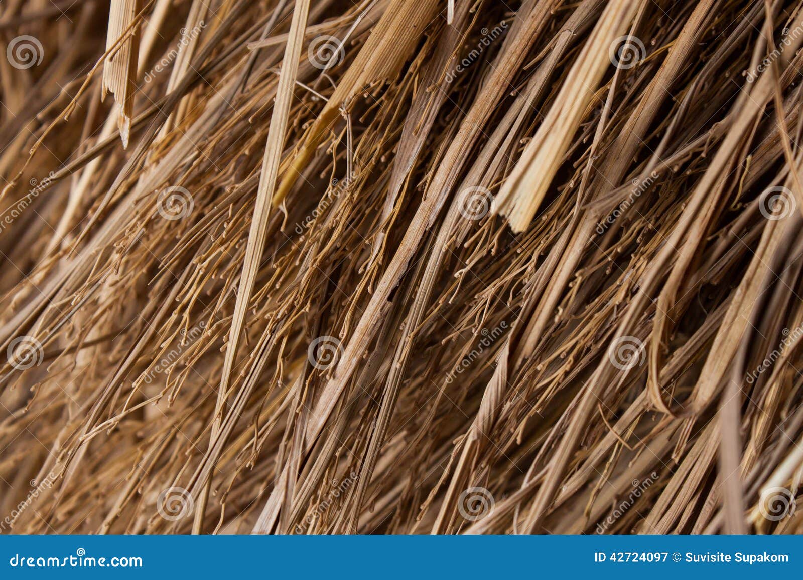 Straw stock image. Image of grass, texture, wheat, grians - 42724097