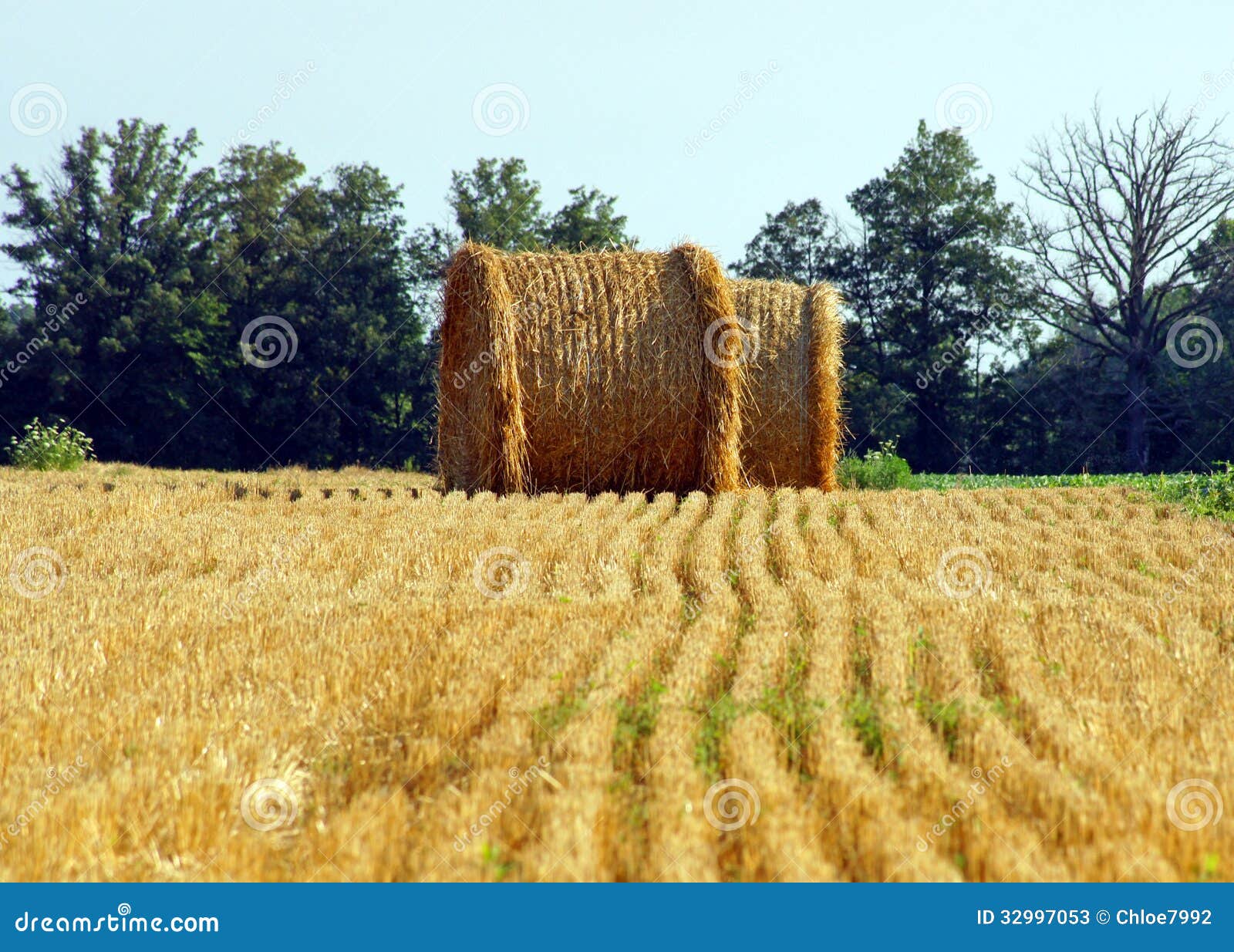 Straw Has Been Cut and Baled Stock Image - Image of agricultural, round ...