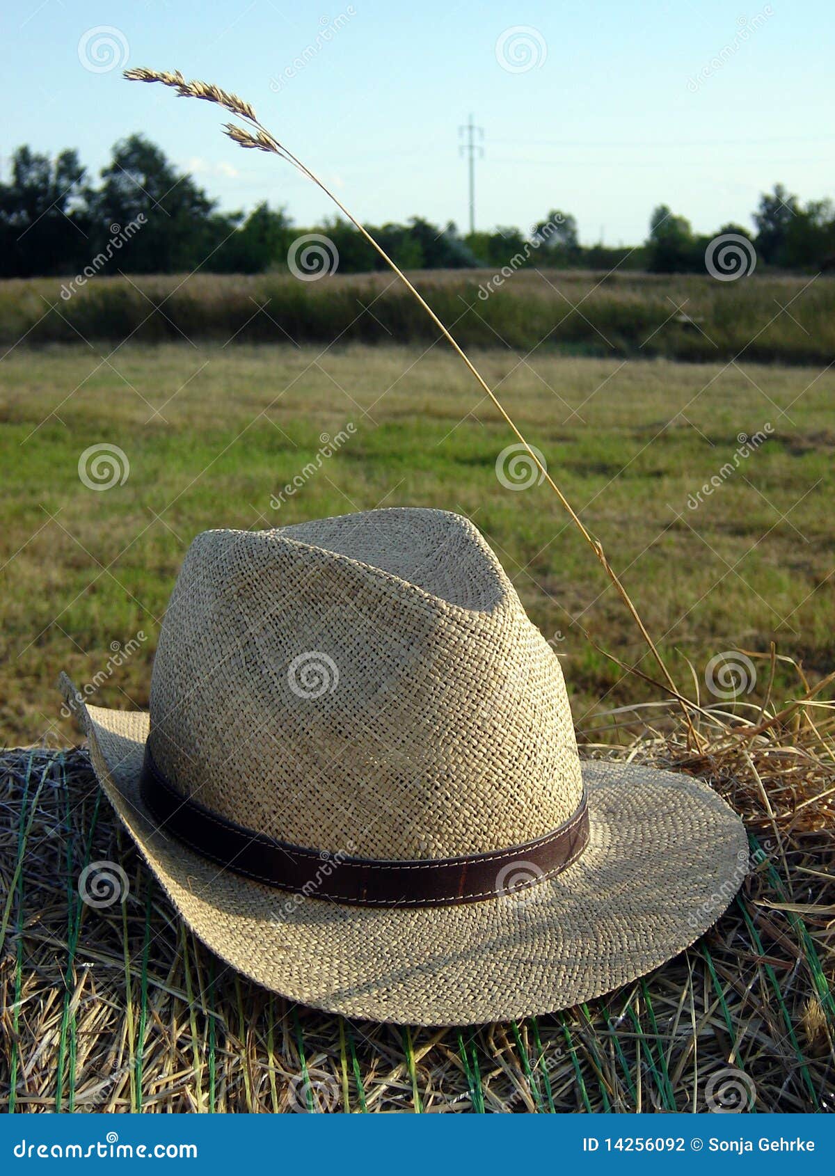 Straw hat stock photo. Image of field, throw, protection - 14256092