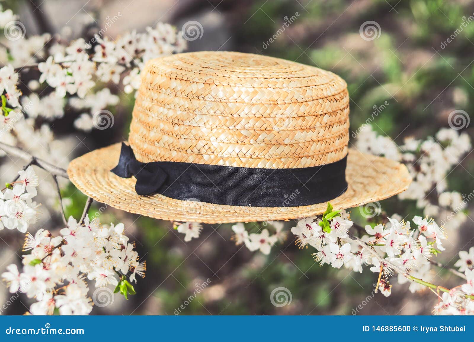 Straw Hat on a Flowering Branch Stock Photo - Image of holiday, adult ...