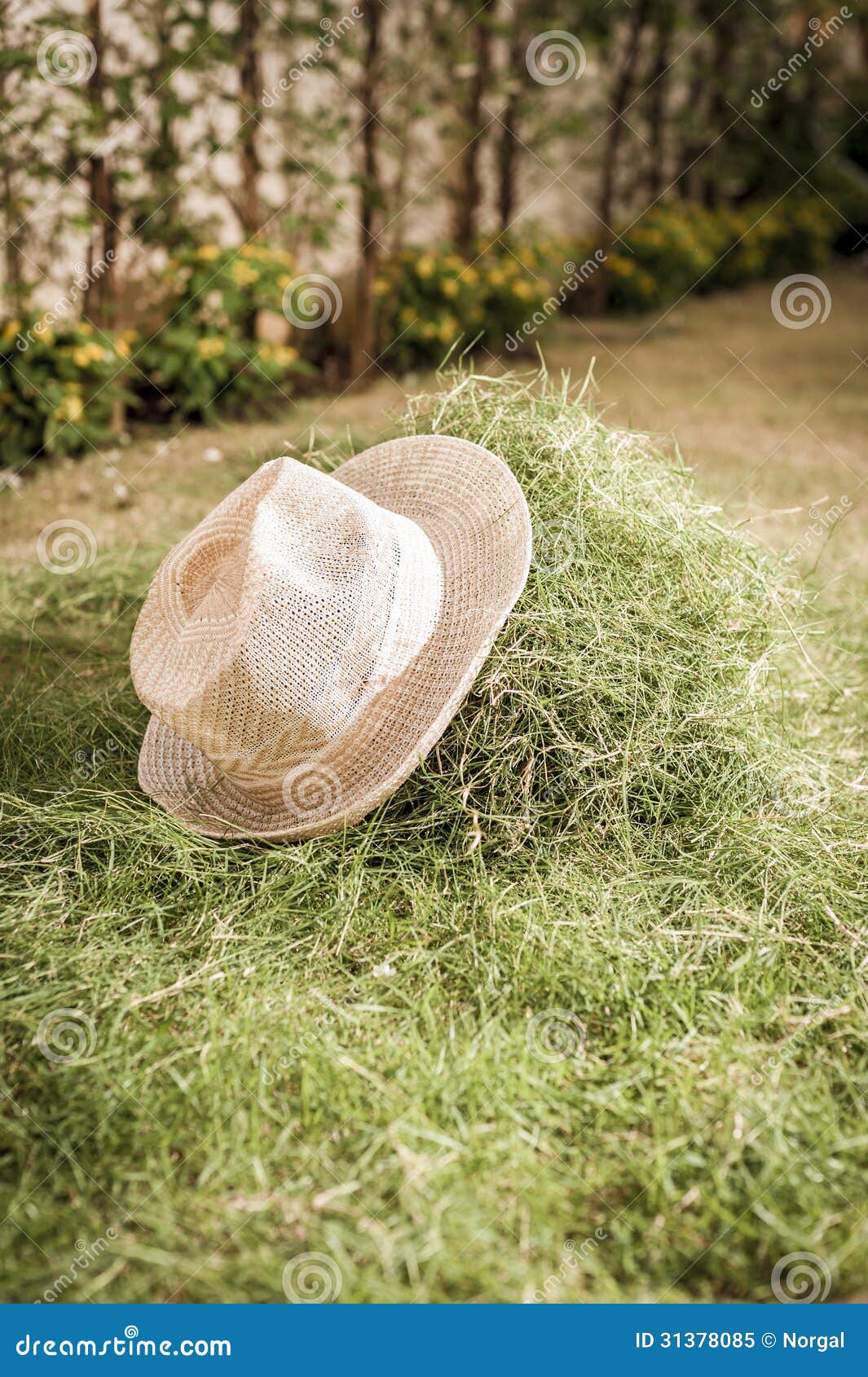 Straw hat on the hay stock image. Image of grass, garden - 31378085