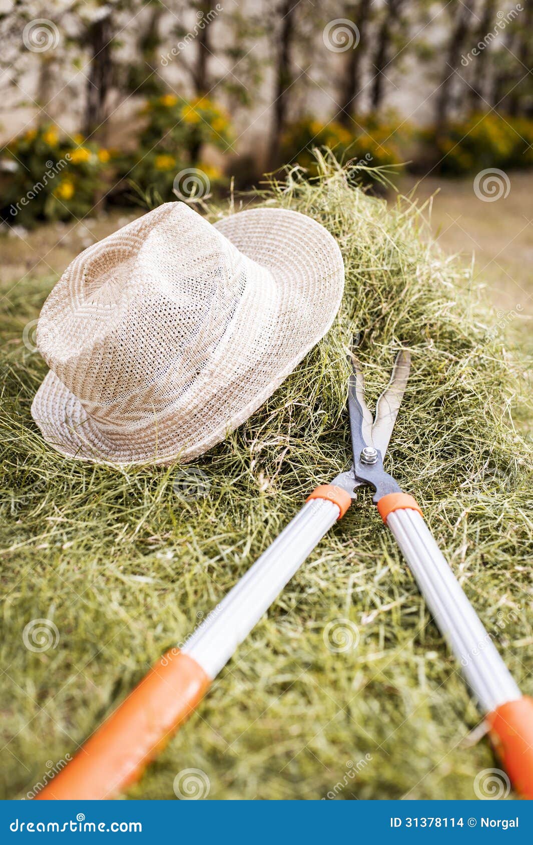 Straw hat on the hay stock photo. Image of country, nature - 31378114