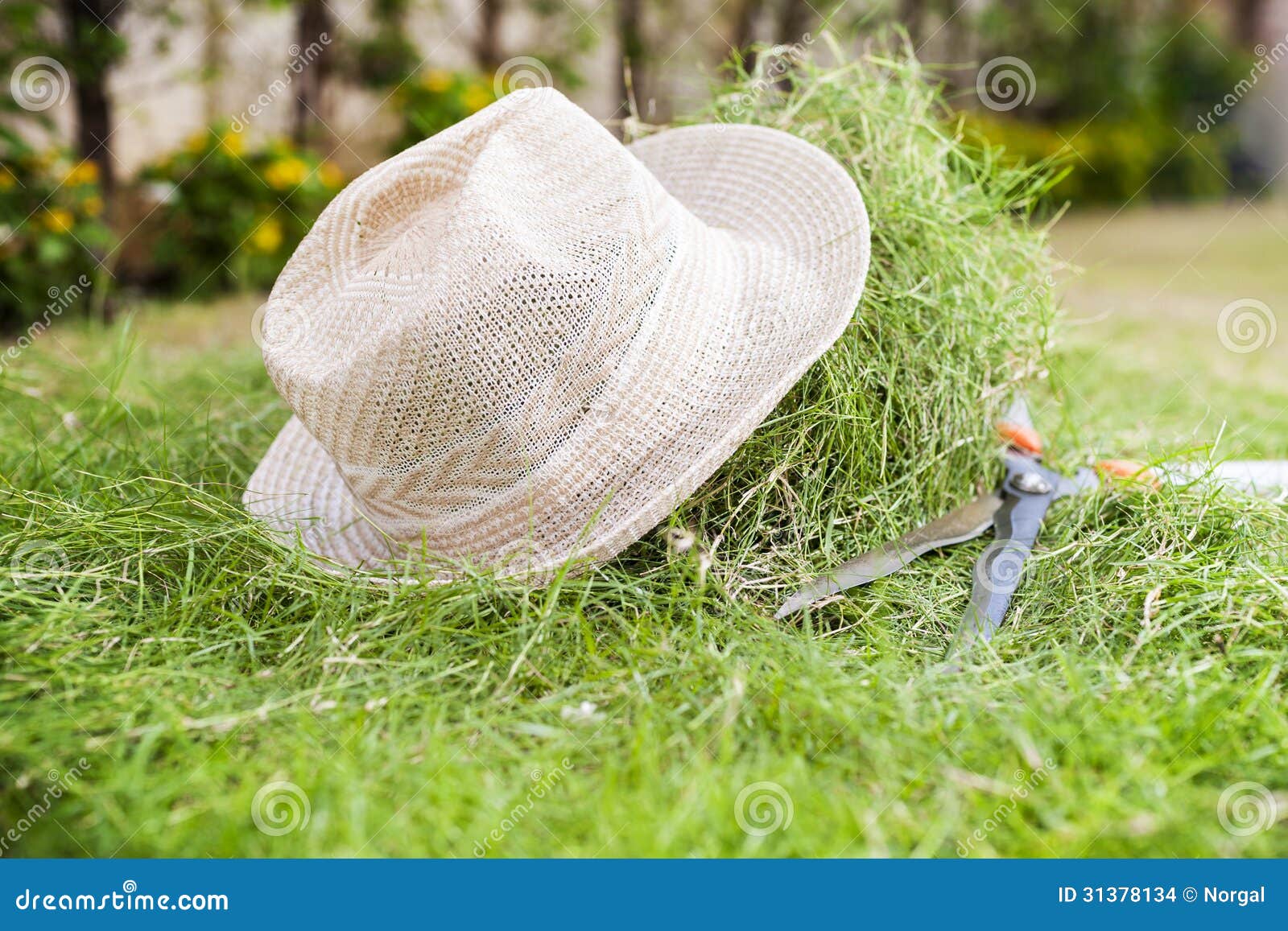 Straw hat on the hay stock photo. Image of countryside - 31378134