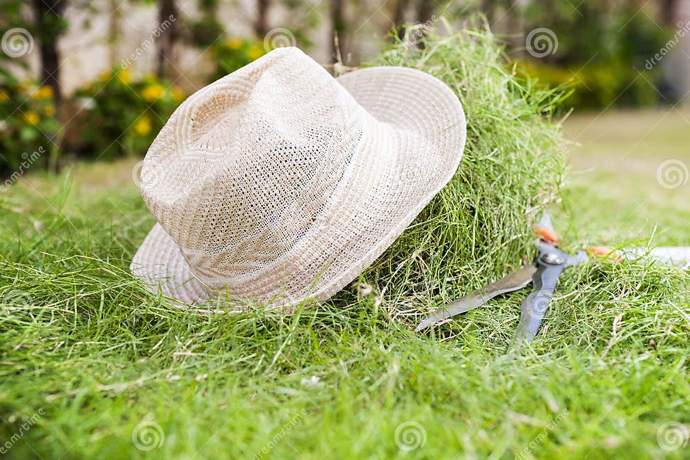 Straw hat on the hay stock photo. Image of countryside - 31378134