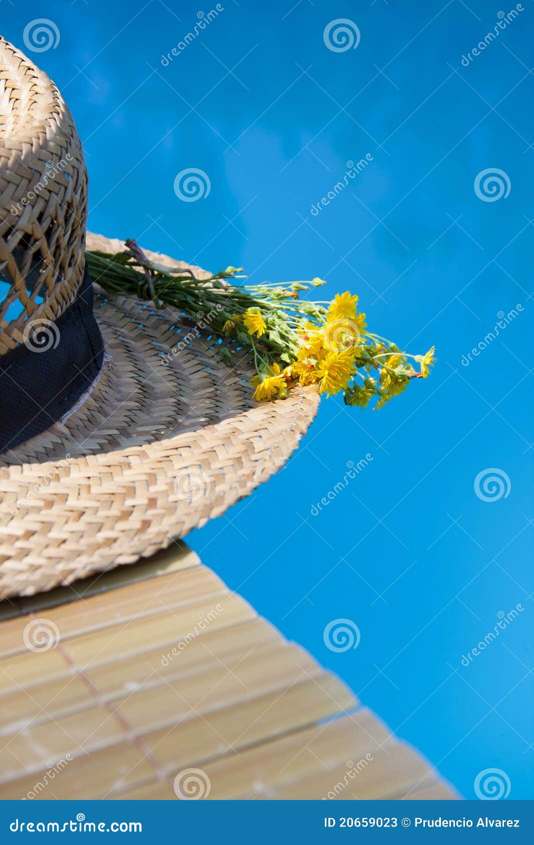 Straw hat in the pool stock image. Image of season, beauty - 20659023