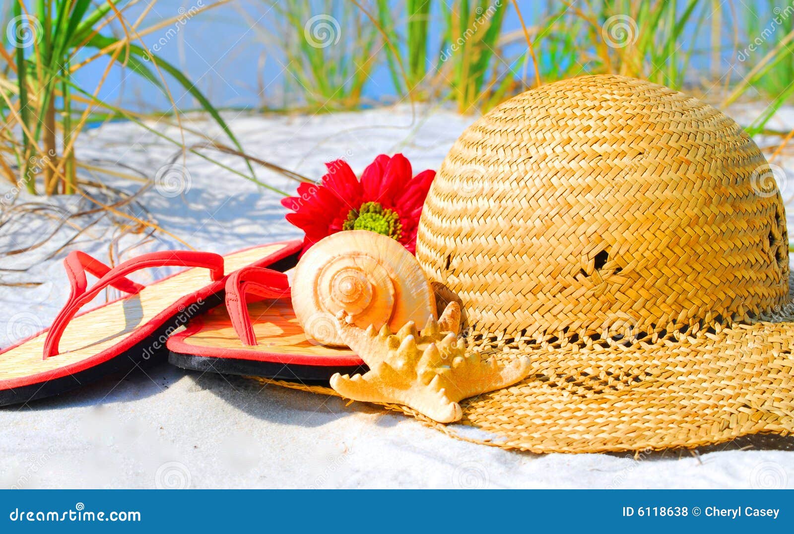 Straw Hat and Shells on Beach Stock Photo - Image of flipflop, bonnet ...