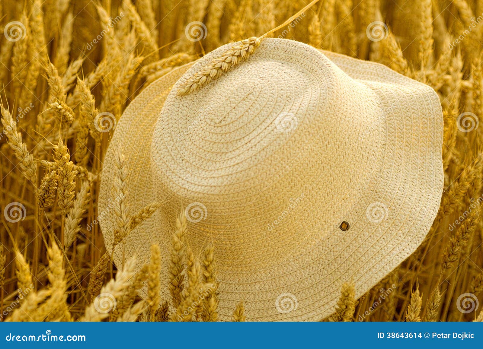 Straw Hat in wheat field stock photo. Image of bread - 38643614