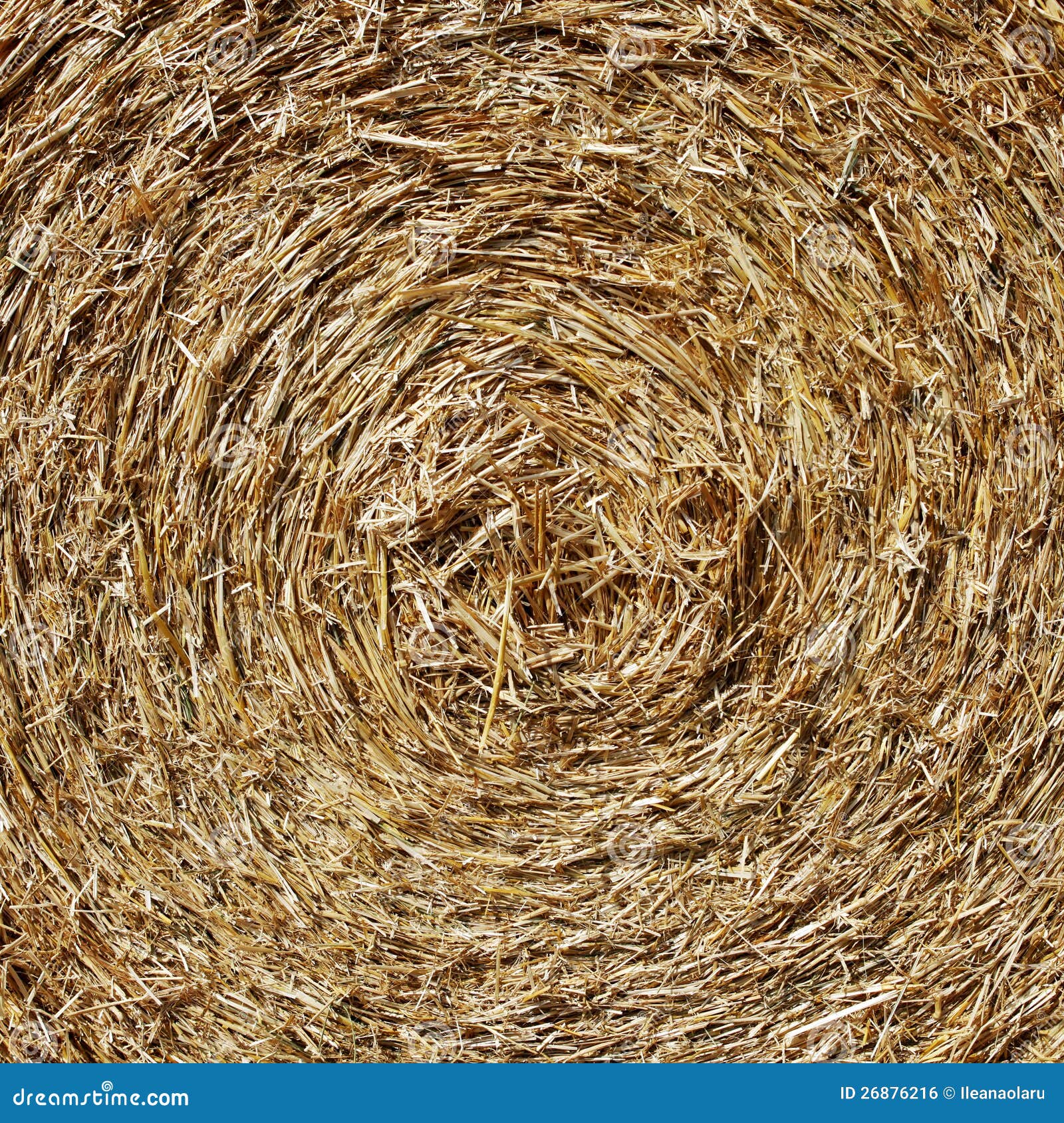 Straw hay stock photo. Image of background, harvest, cereal - 26876216