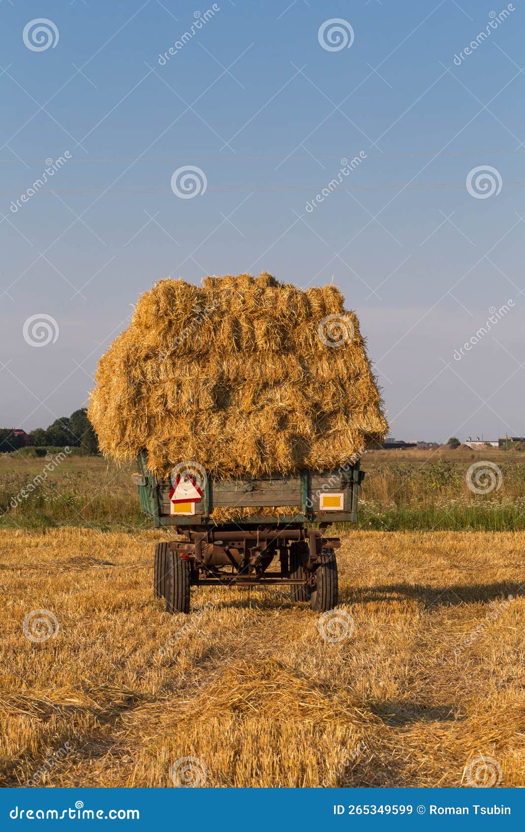 Straw Hay Bales on a Trailer Stock Image - Image of drawbar, outside ...