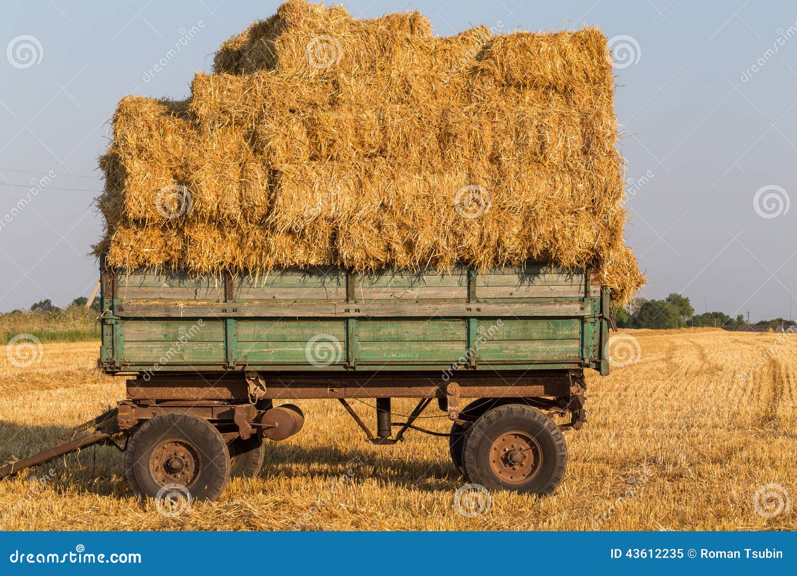 Straw Hay Bales on a Trailer Stock Image - Image of farming, green ...