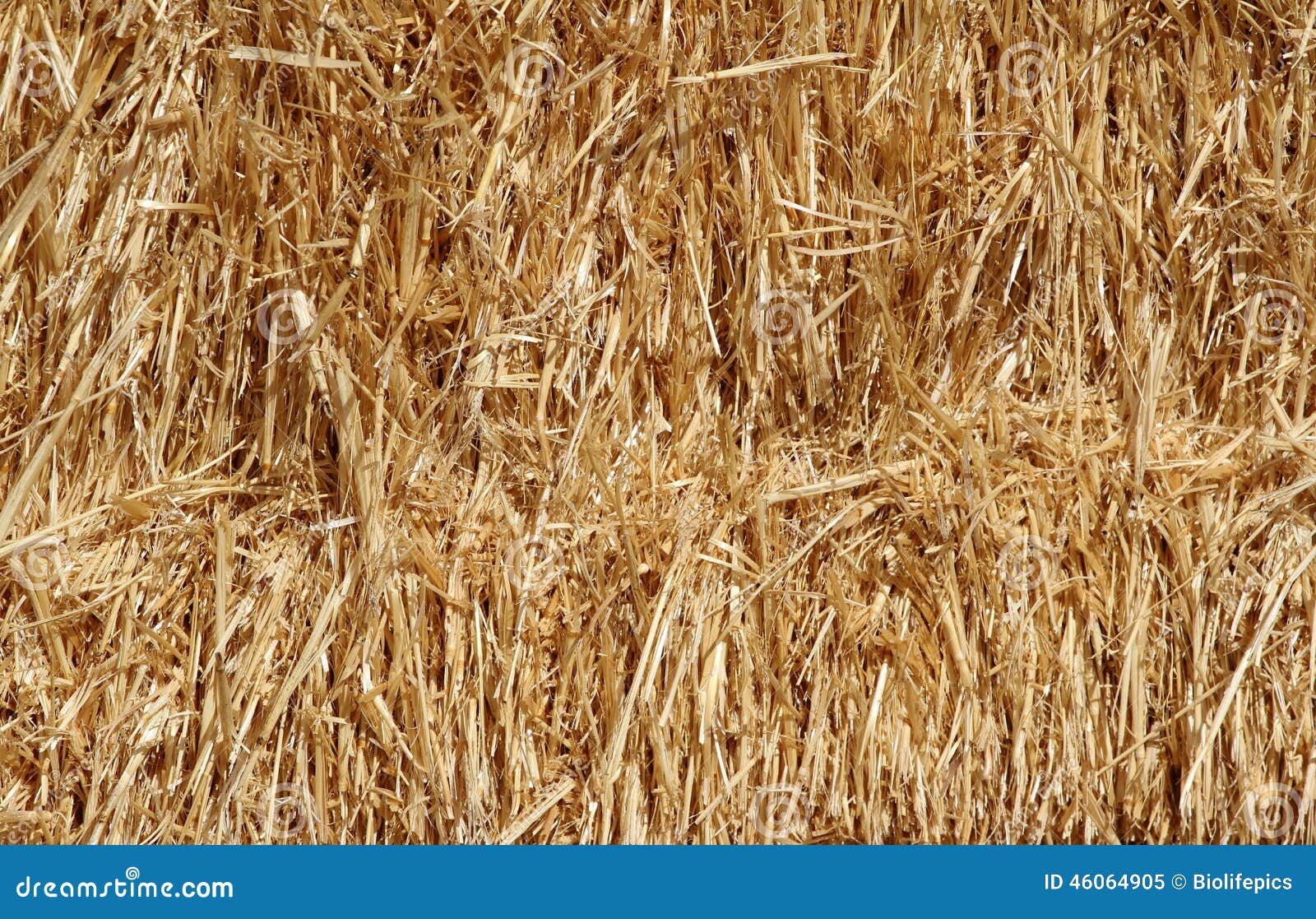 Straw or Hay Close Up Background Stock Image - Image of autumn, crop ...