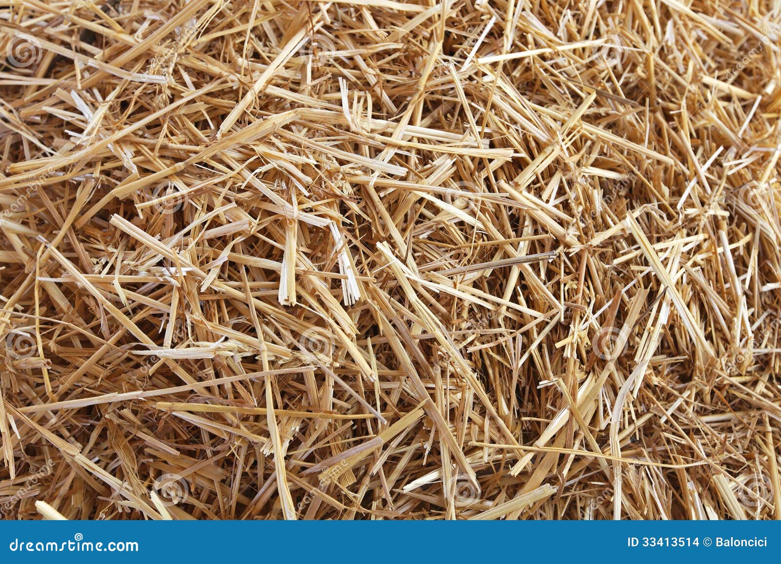 Straw hay texture stock photo. Image of dried, farm, straw - 33413514