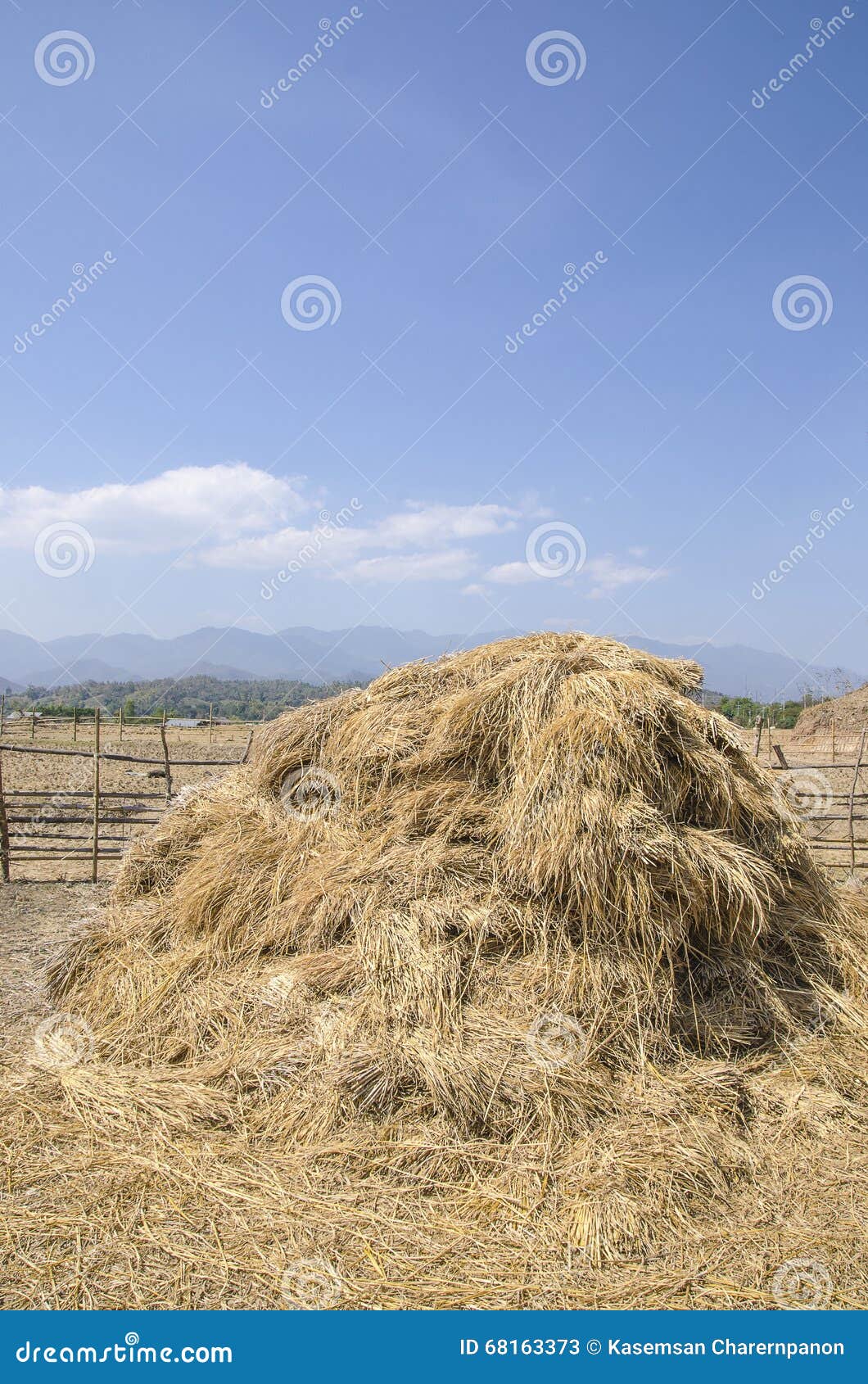 The Straw Haystack on the Field after Harvesting. Stock Image - Image ...