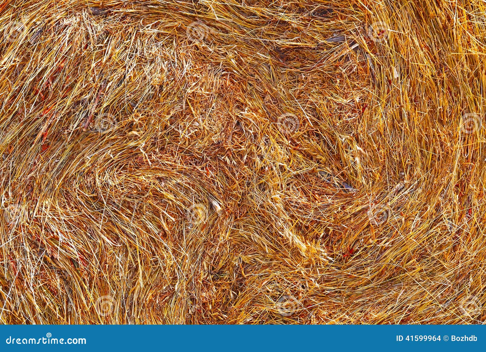 Straw Haystack stock photo. Image of farm, food, cereal - 41599964