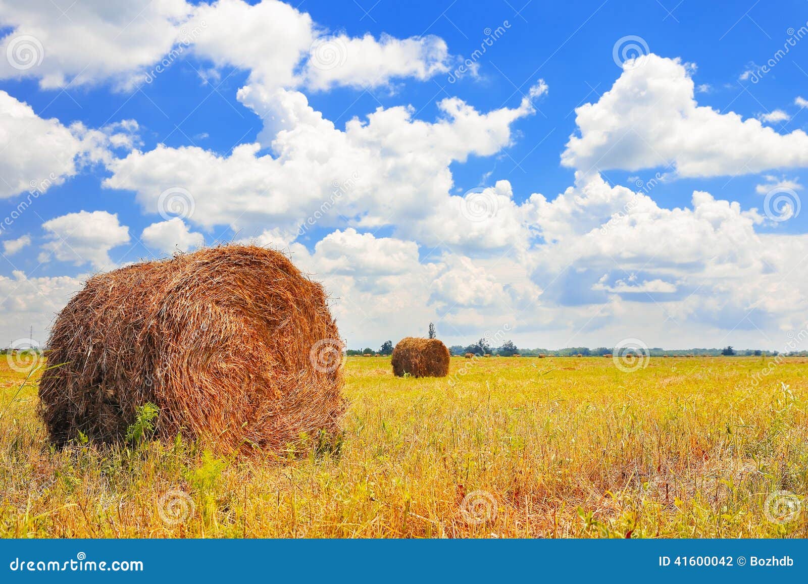 Straw Haystacks on the Field Stock Photo - Image of agricultural ...