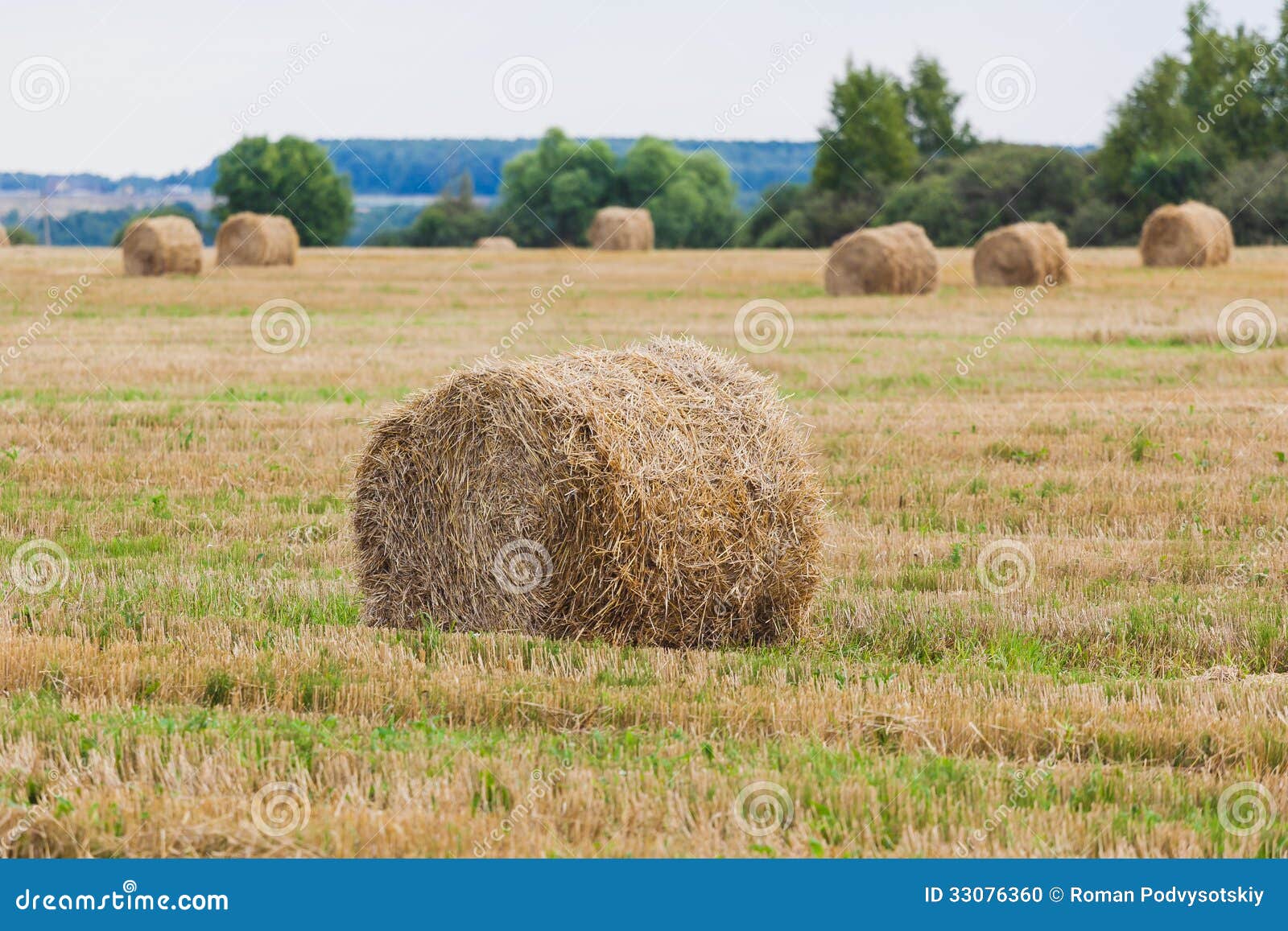 Straw Haystacks on the Grain Field Stock Photo - Image of harvest ...