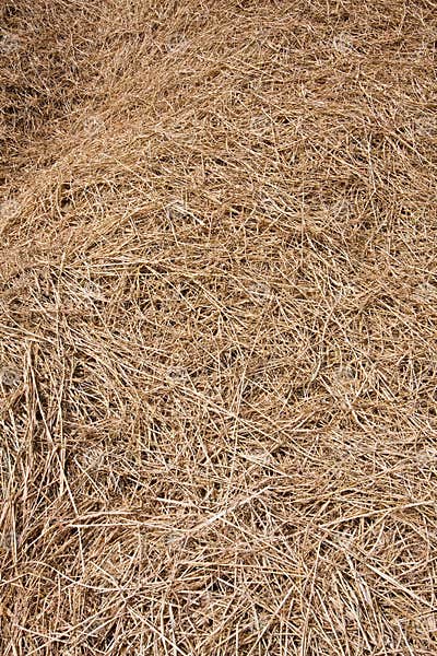Straw heap stock photo. Image of organic, backgrounds - 17922204