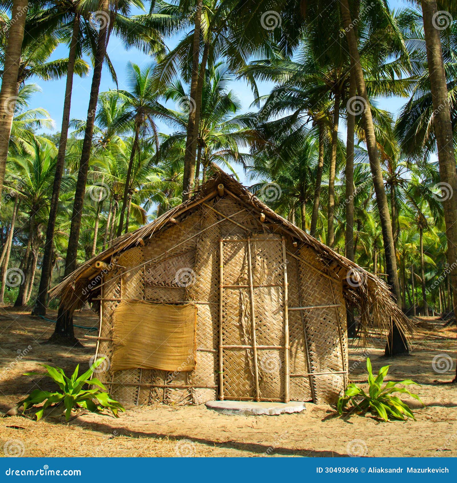 Straw Hut on Paradise Beach in Goa Stock Photo - Image of home, summer ...