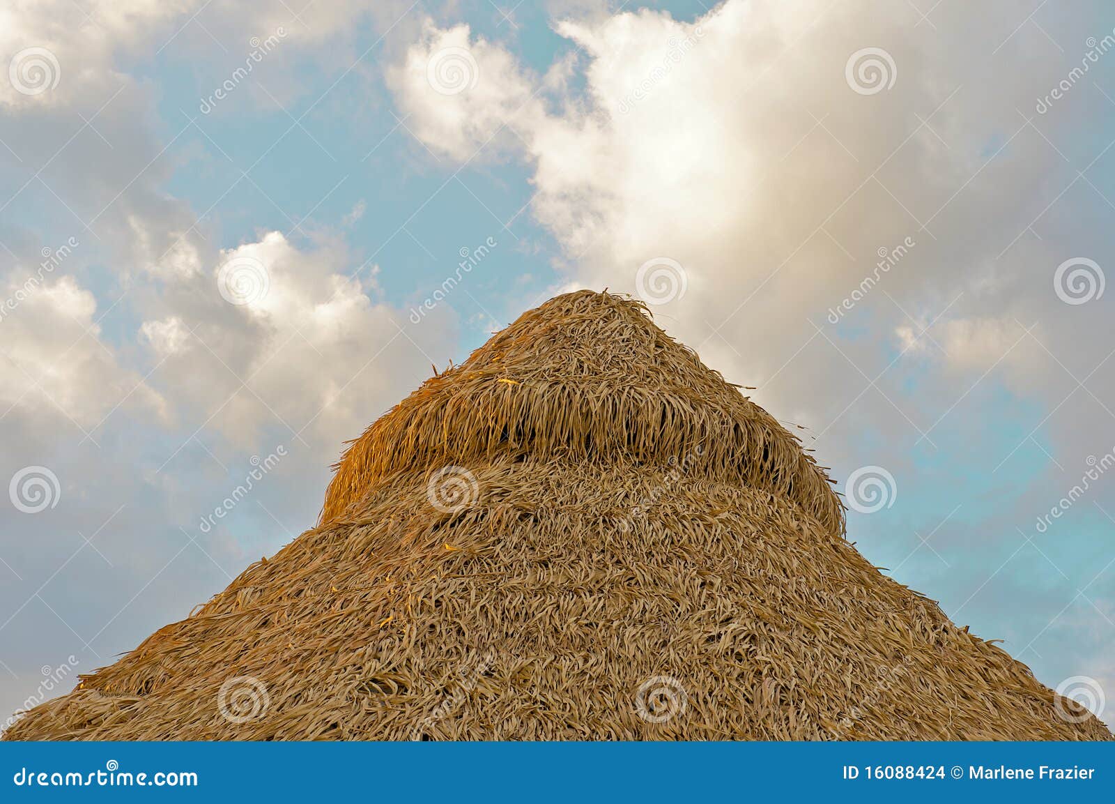 Straw hut in the tropics. stock photo. Image of guanacaste - 16088424
