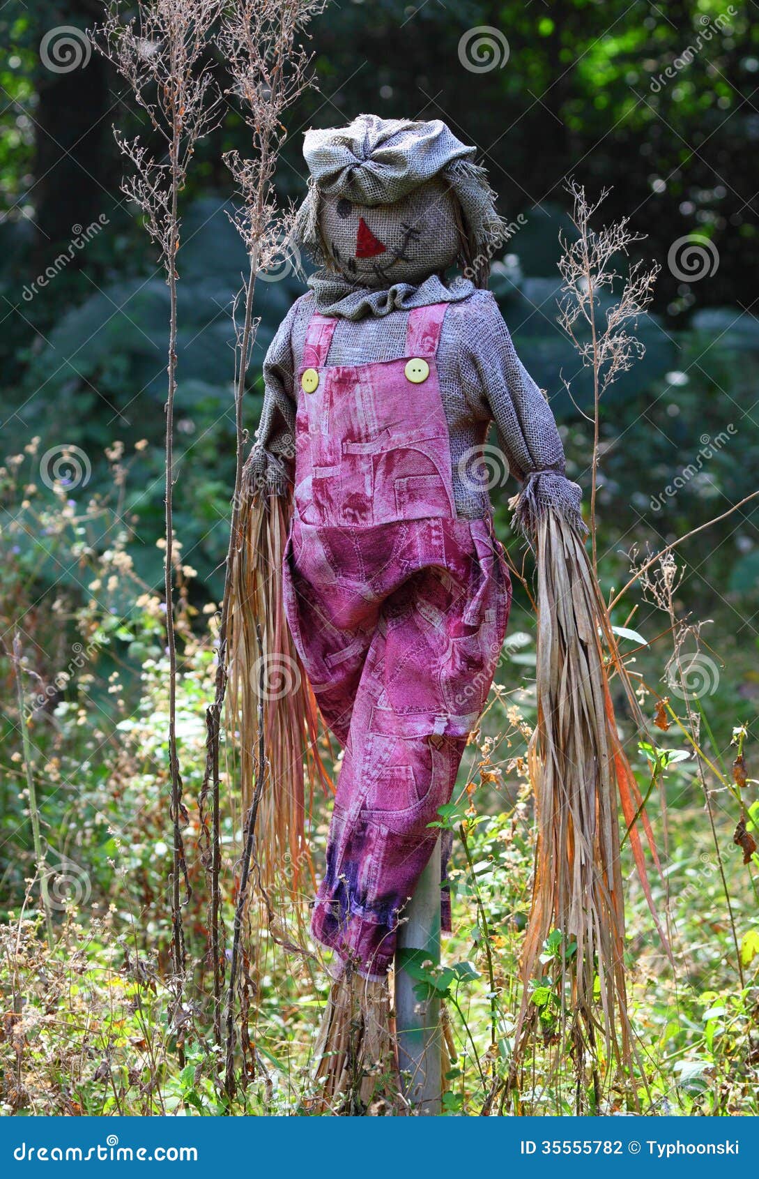 Straw man stock photo. Image of figure, harvest, bogle - 35555782