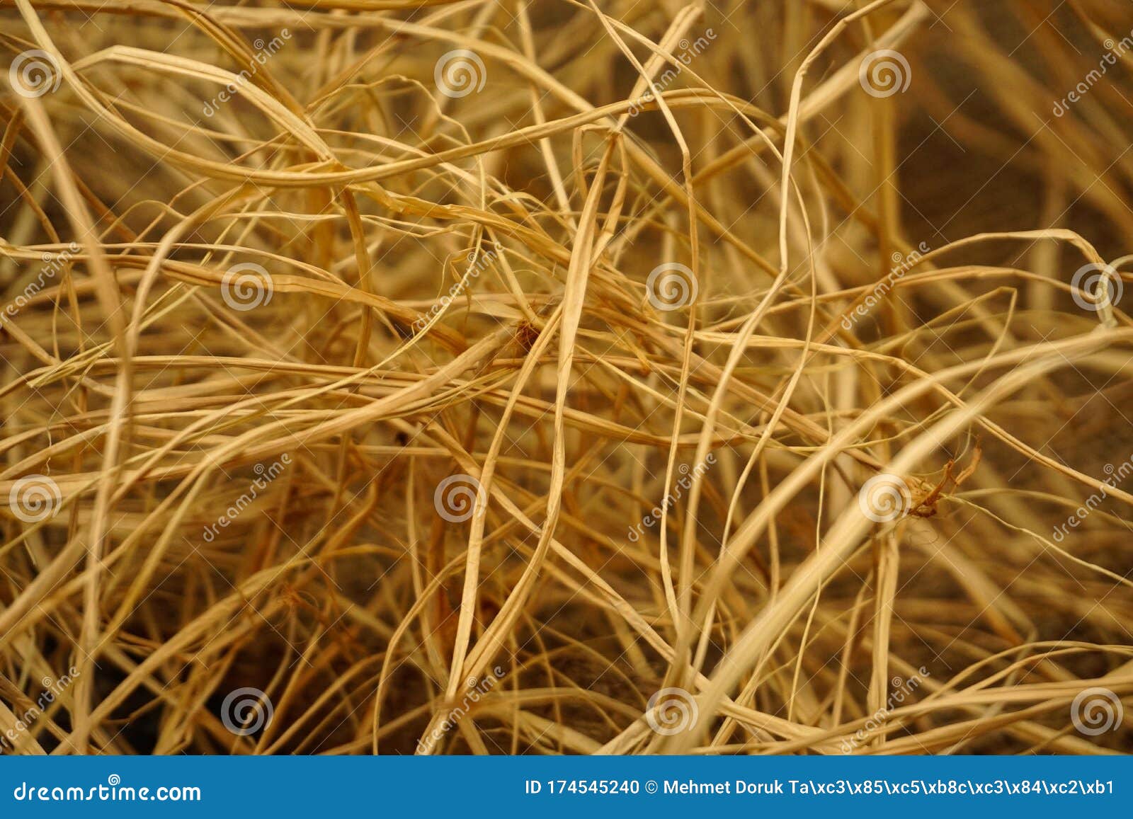 Straw Mat Seamless Template Texture Background Stock Photo - Image of ...