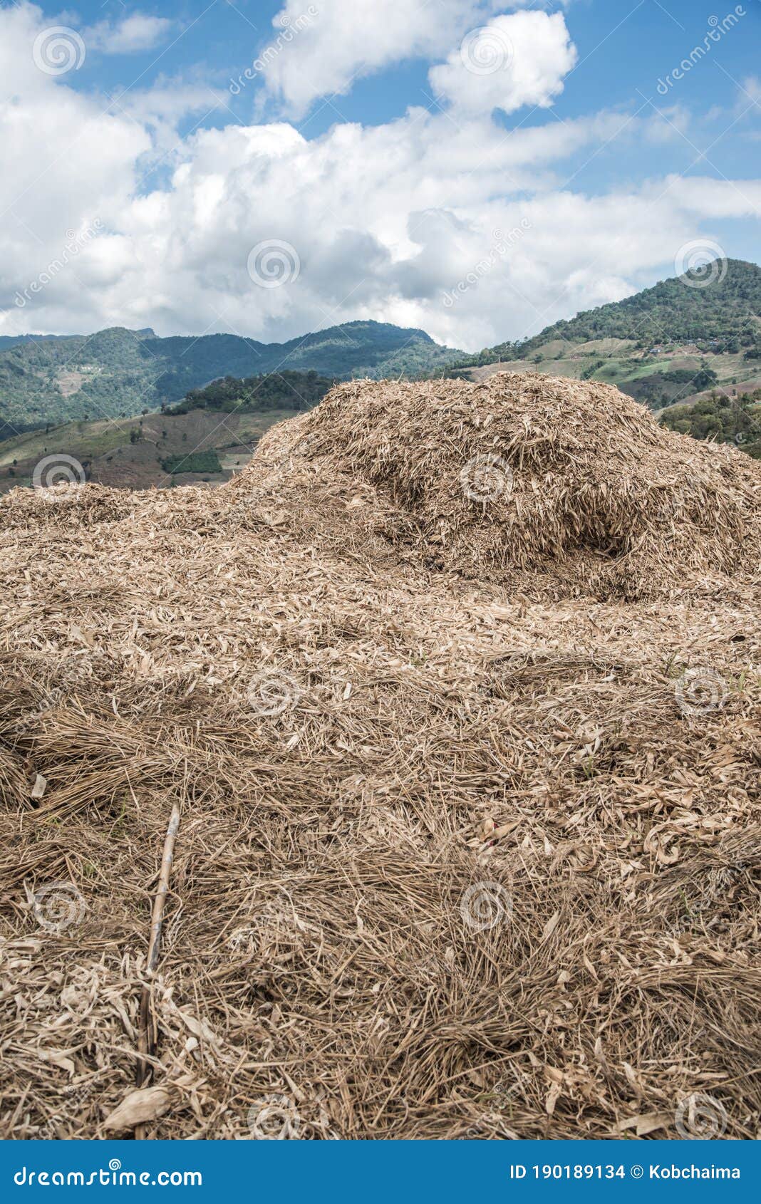 Straw with mountain view stock photo. Image of hiking - 190189134
