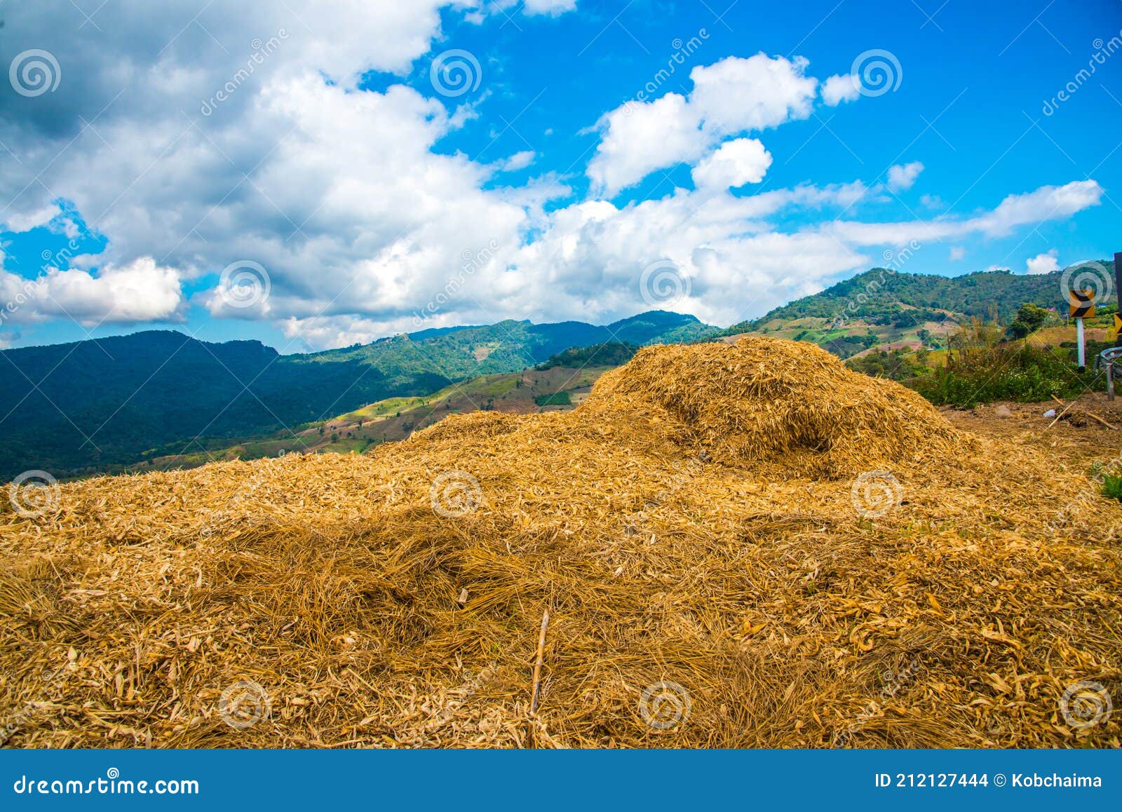 Straw with mountain view stock photo. Image of leaves - 212127444