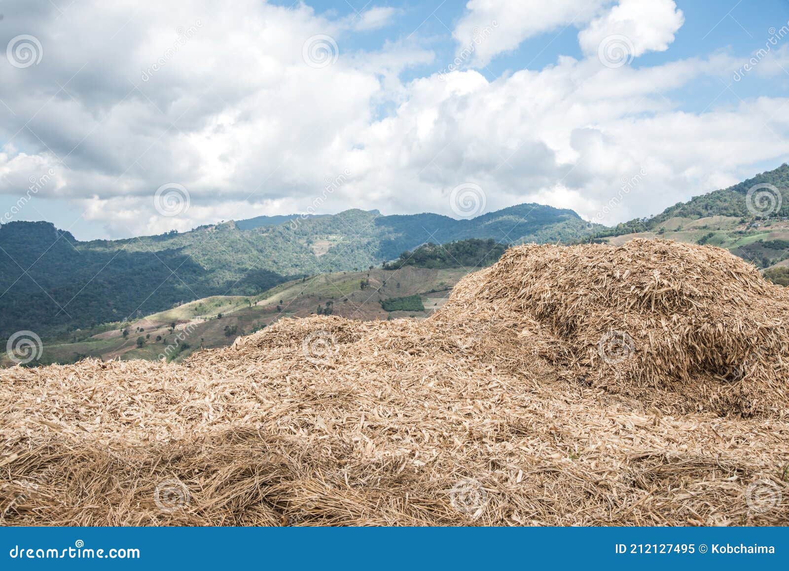 Straw with mountain view stock image. Image of phuchifa - 212127495