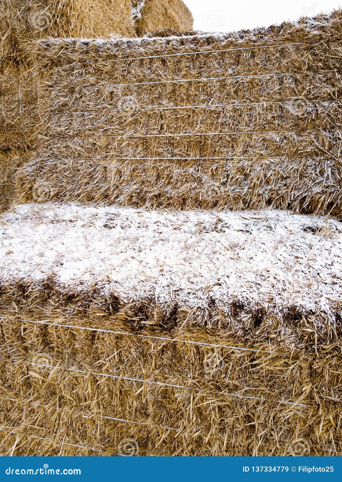 Straw in packages stock image. Image of farml, field - 137334779