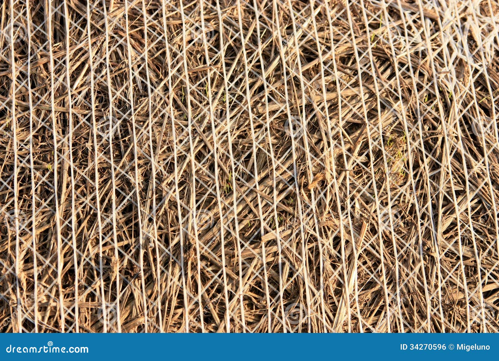 Straw pattern stock photo. Image of textured, autumn - 34270596