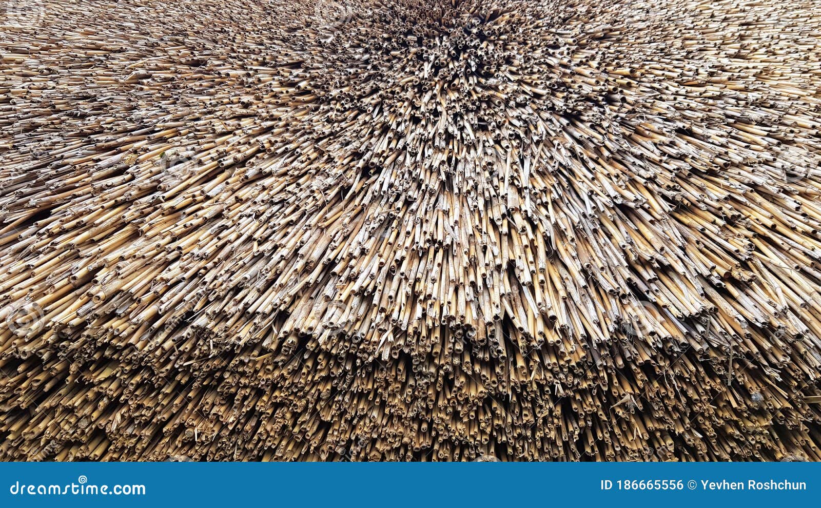 Straw Pattern. Thatched Grass, Roof Or Wall. Straw, Hay Or Dry Grass ...