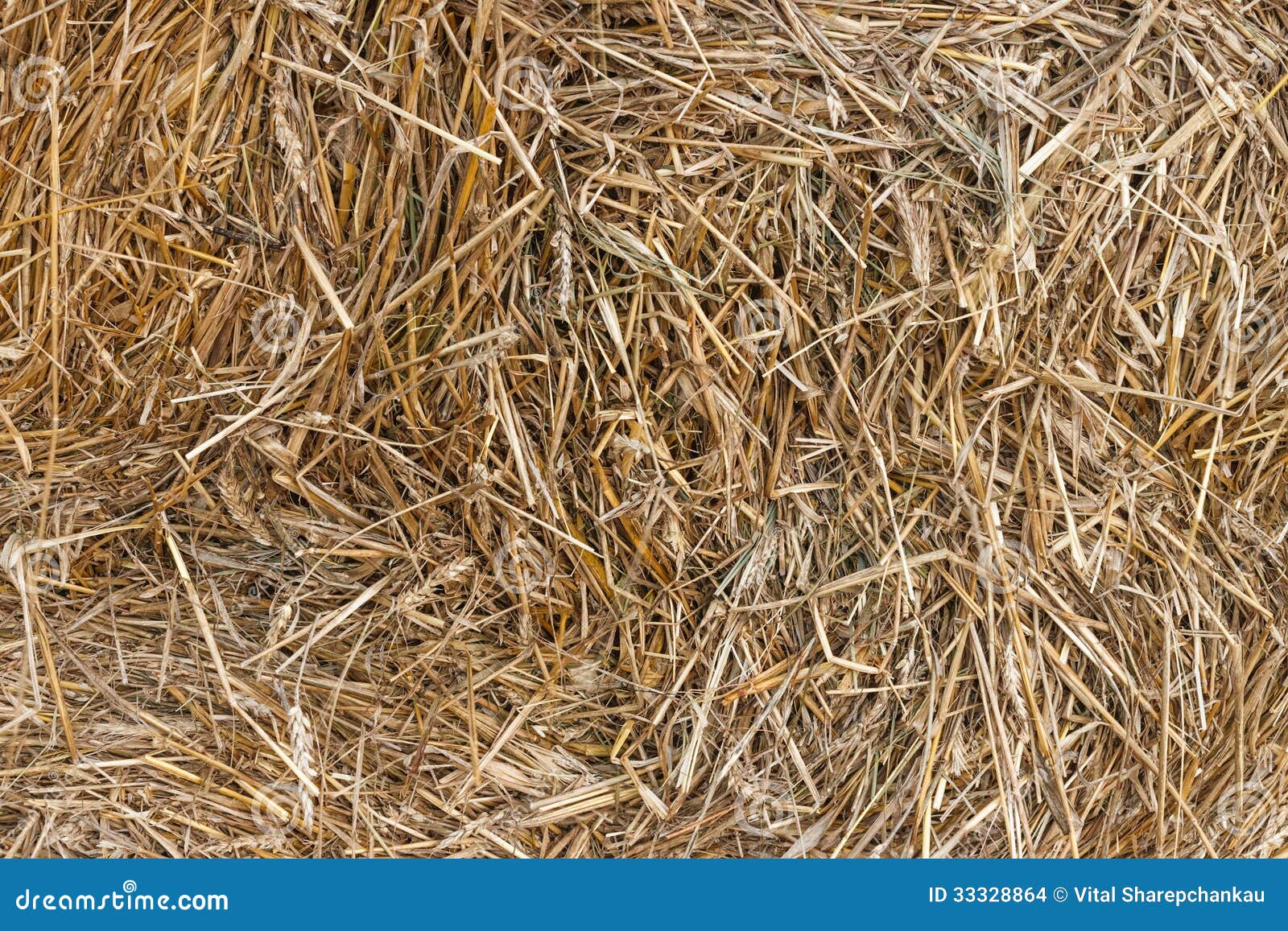 Straw. stock photo. Image of environment, farm, backdrop - 33328864
