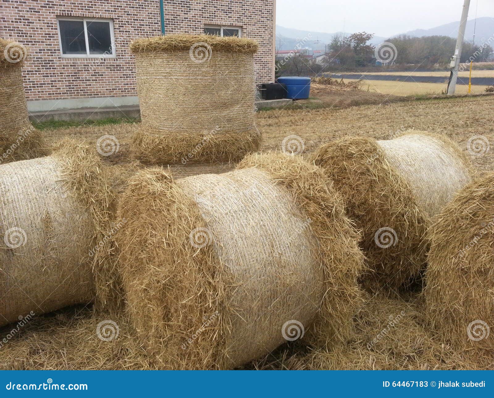 Straw Pile Farm Agriculture Stock Image - Image of rolled, straw: 64467183