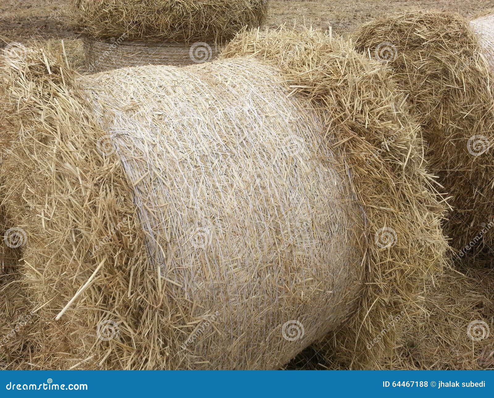 Straw Pile Farm Agriculture Stock Photo - Image of rolled, pile: 64467188