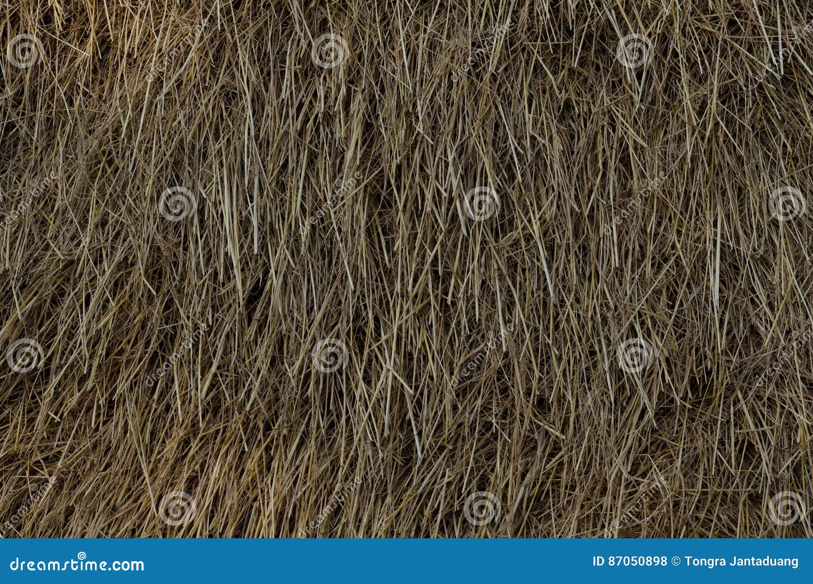 Straw Pile, Lined with a Layer. See Detailed Connections Clear Stock ...
