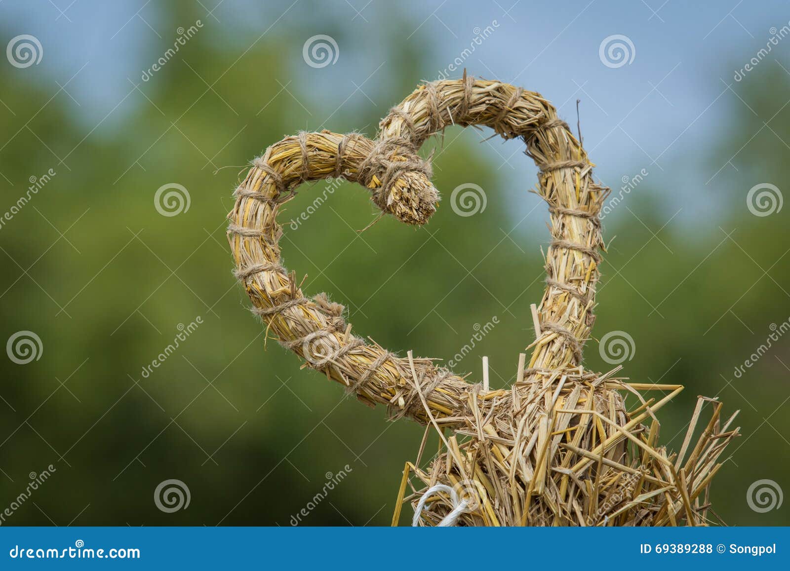 Straw stock photo. Image of roll, outstanding, group - 69389288