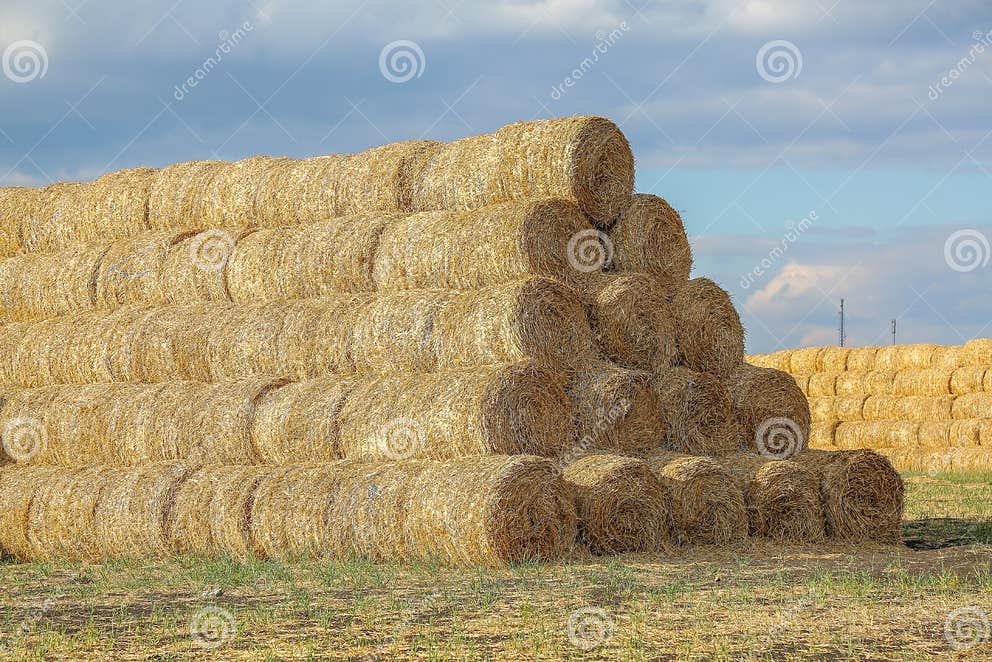 Straw Pyramid foto de archivo. Imagen de grande, agricultura - 77739784