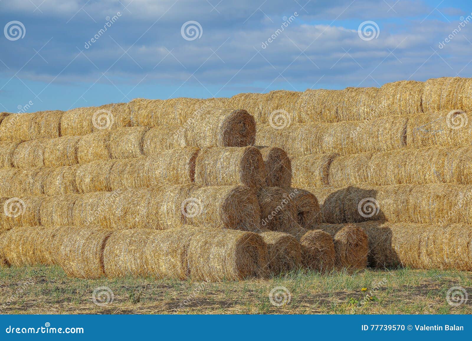 Straw Pyramid stock photo. Image of bale, color, golden - 77739570