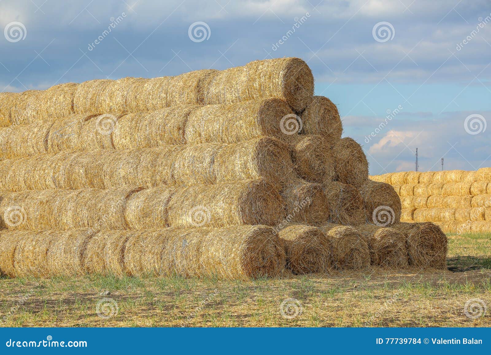 Straw Pyramid stock photo. Image of grey, agriculture - 77739784