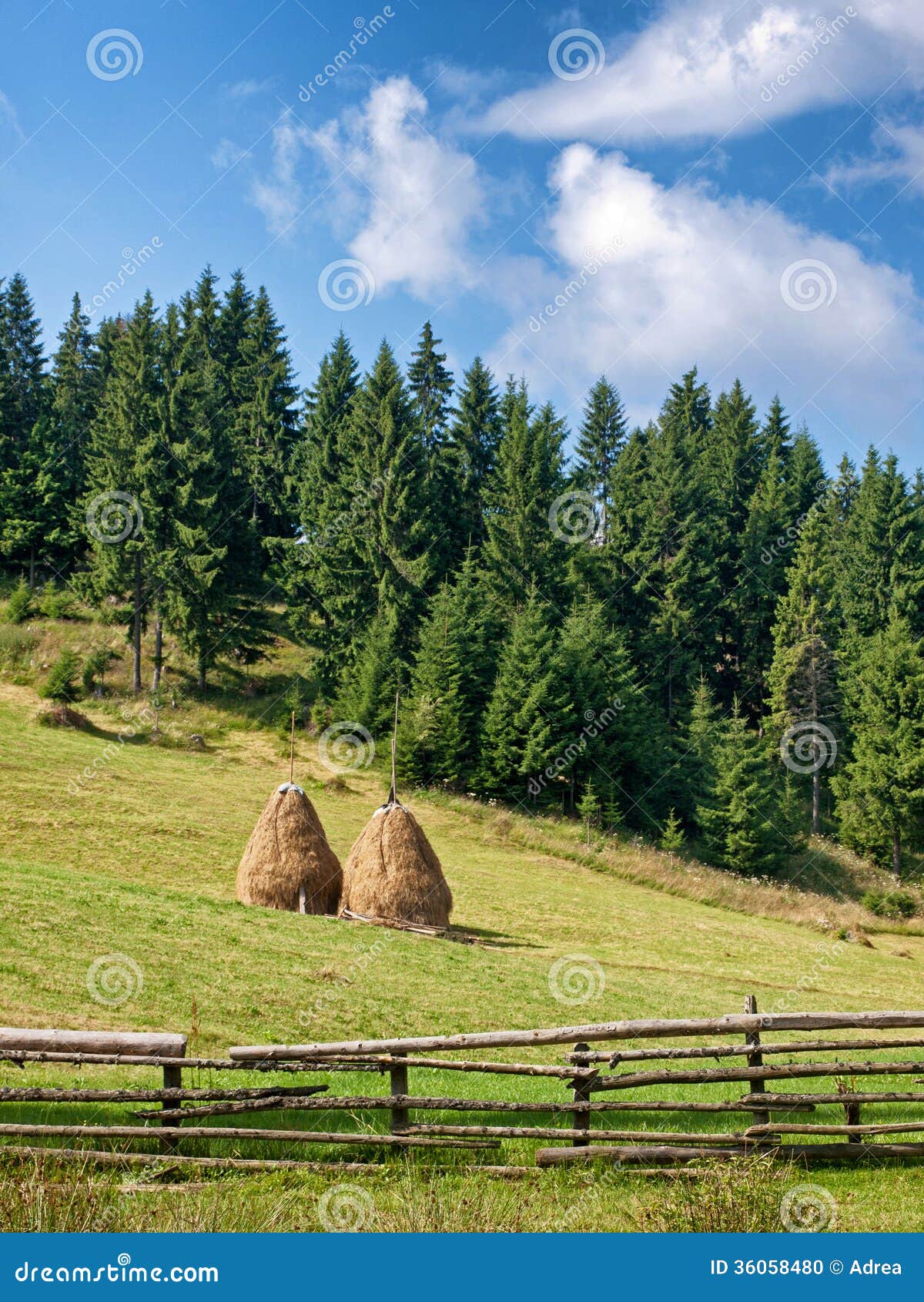 Straw Rack on a Countryside Backyard Stock Photo - Image of corn ...