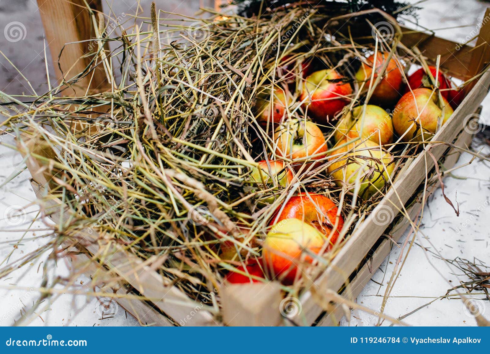 Straw upon Red Apples in a Crate. Stock Photo - Image of europe, nature ...
