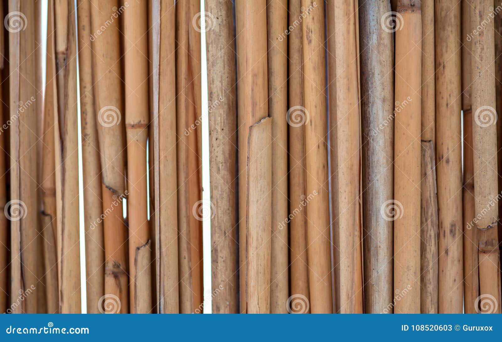 Straw Reed Background Texture Pattern Stock Image - Image of harmony ...